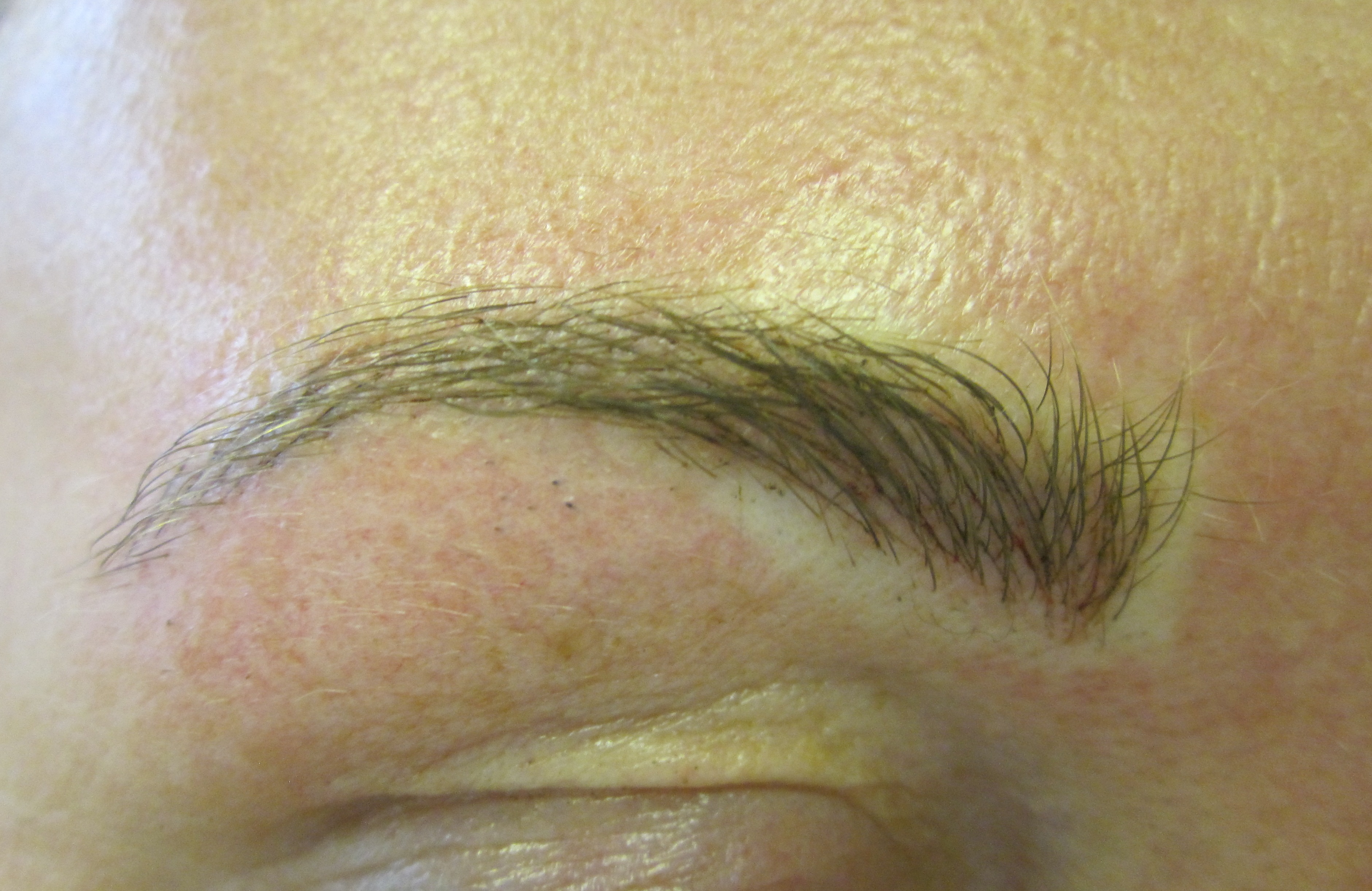 Microblading (or eyebrow embroidery)